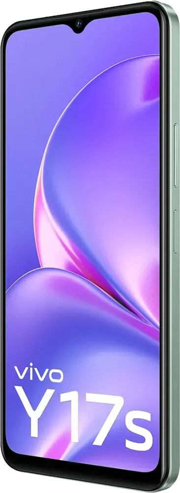 VIVO Y17S Dual SIM, 128GB Memory, 6GB RAM, 4G LTE, Forest Green ...