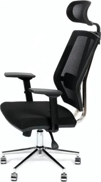 Mesh office chair, 2 supports, metal pipes in the back, black color ...